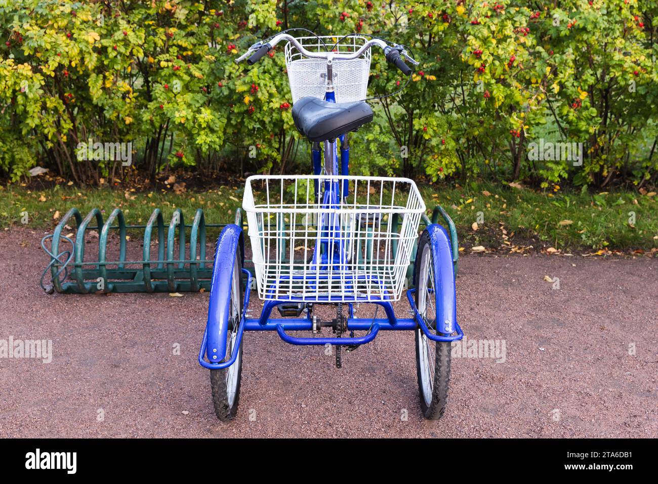 Blue tricycle with white cargo basket stands parked in a park, rear ...