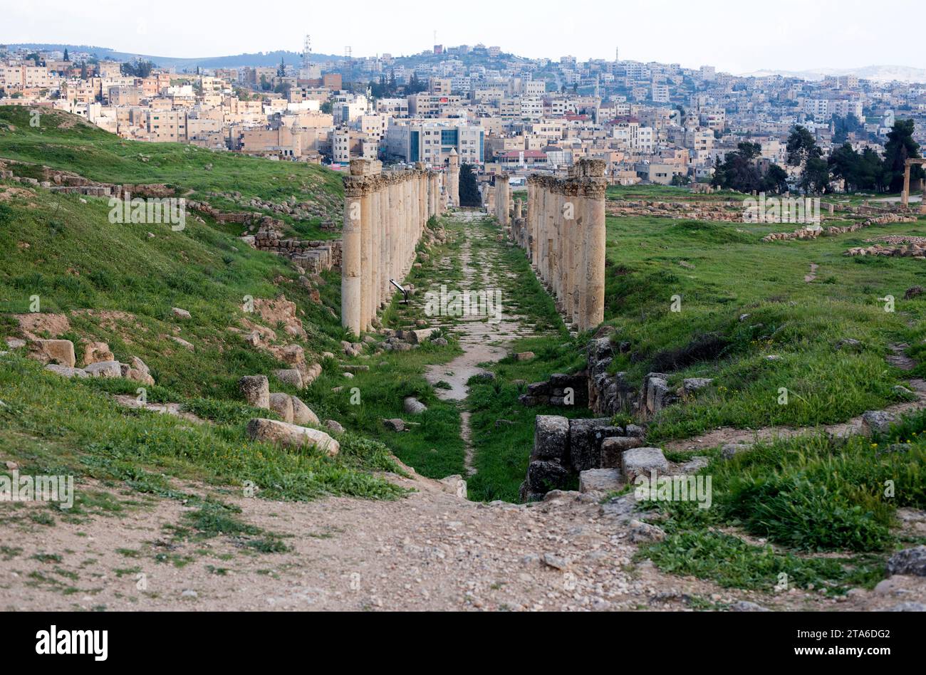 Jerash, South Decumanus. Jordan Stock Photo - Alamy