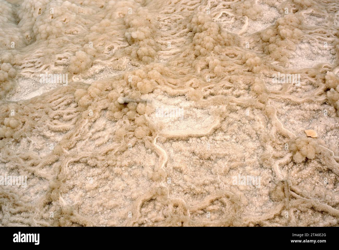 Salt deposits up close hi-res stock photography and images - Alamy