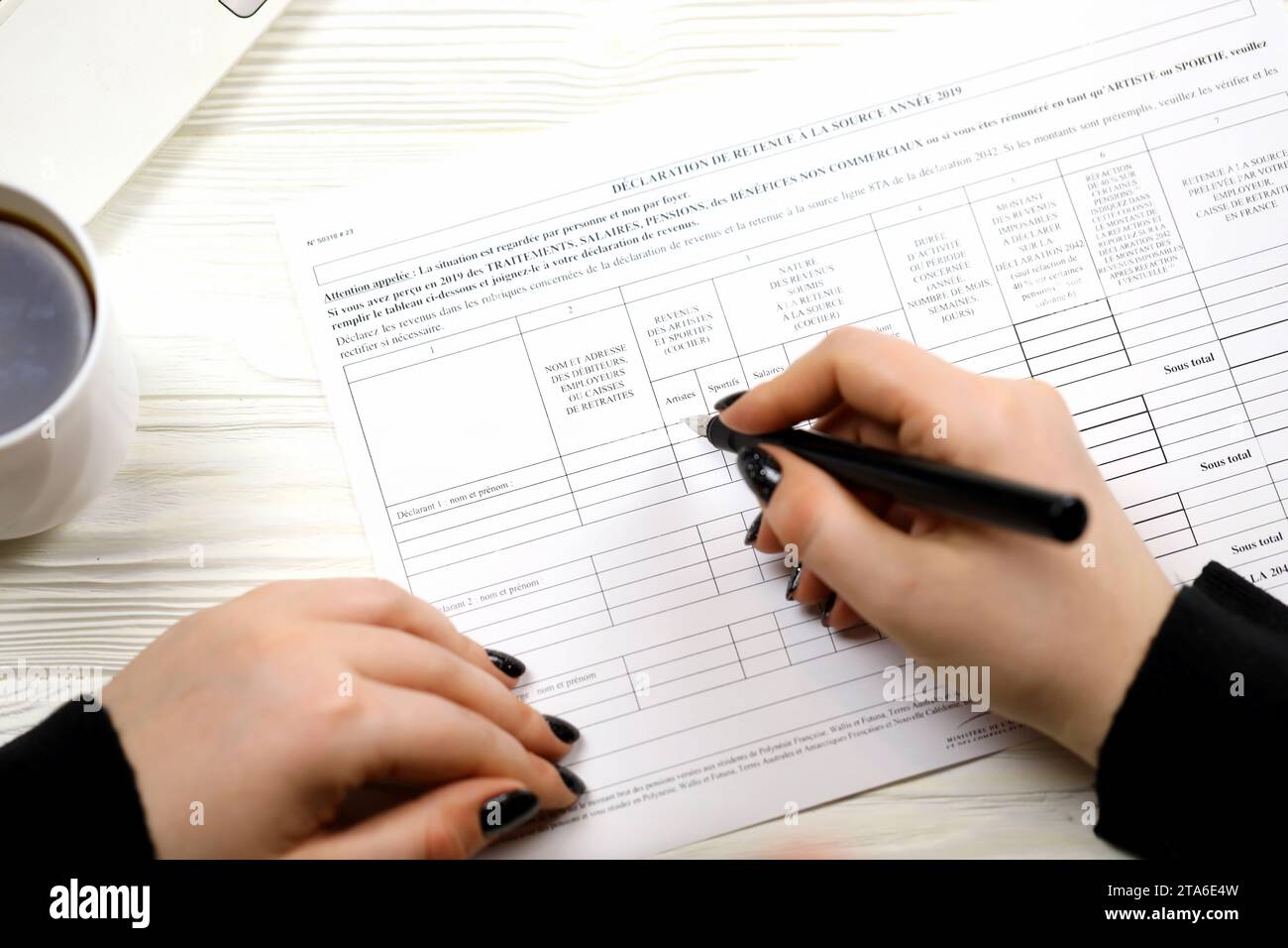 Accountant fill french tax form 2041E Withholding tax declaration in ...