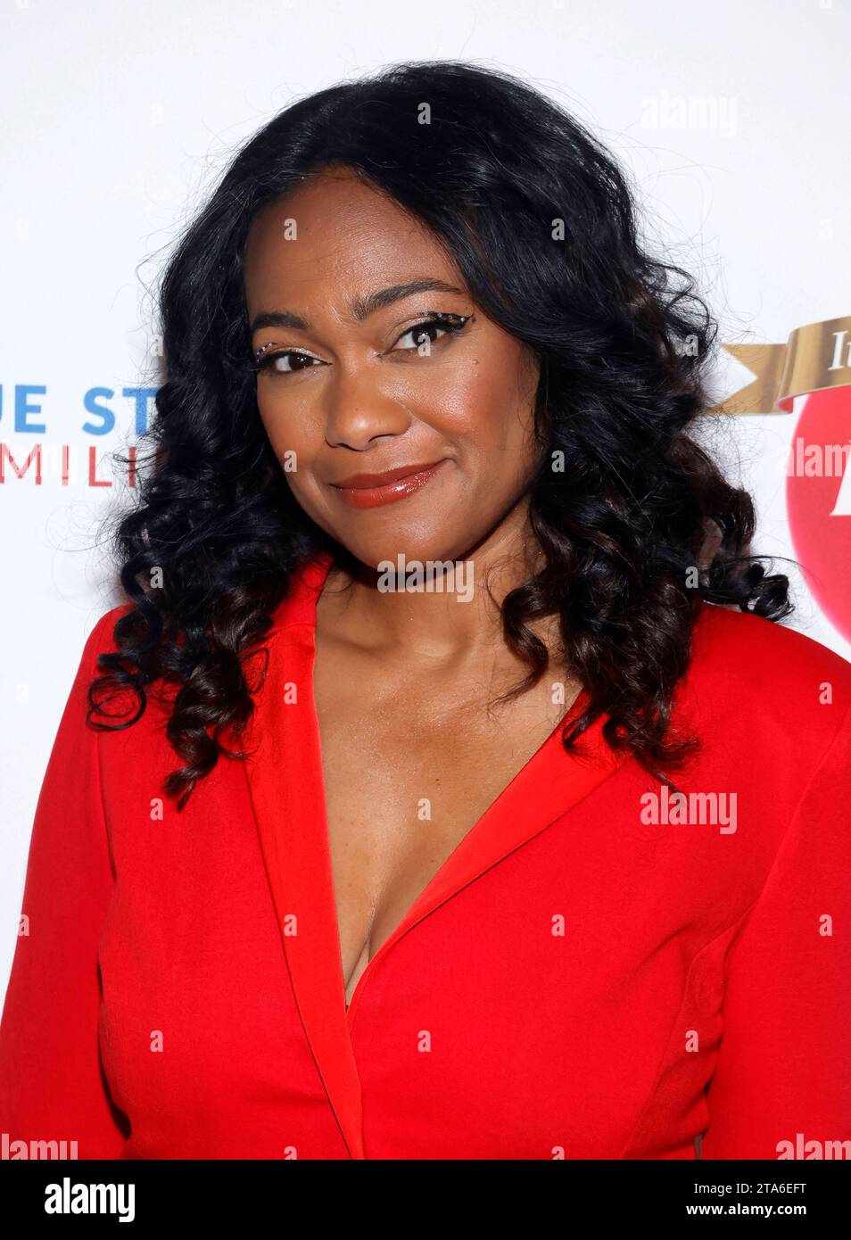 BEVERLY HILLS, CA 0 NOVEMBER 28: Tatyana Ali at Gift Of A Lifetime Red ...