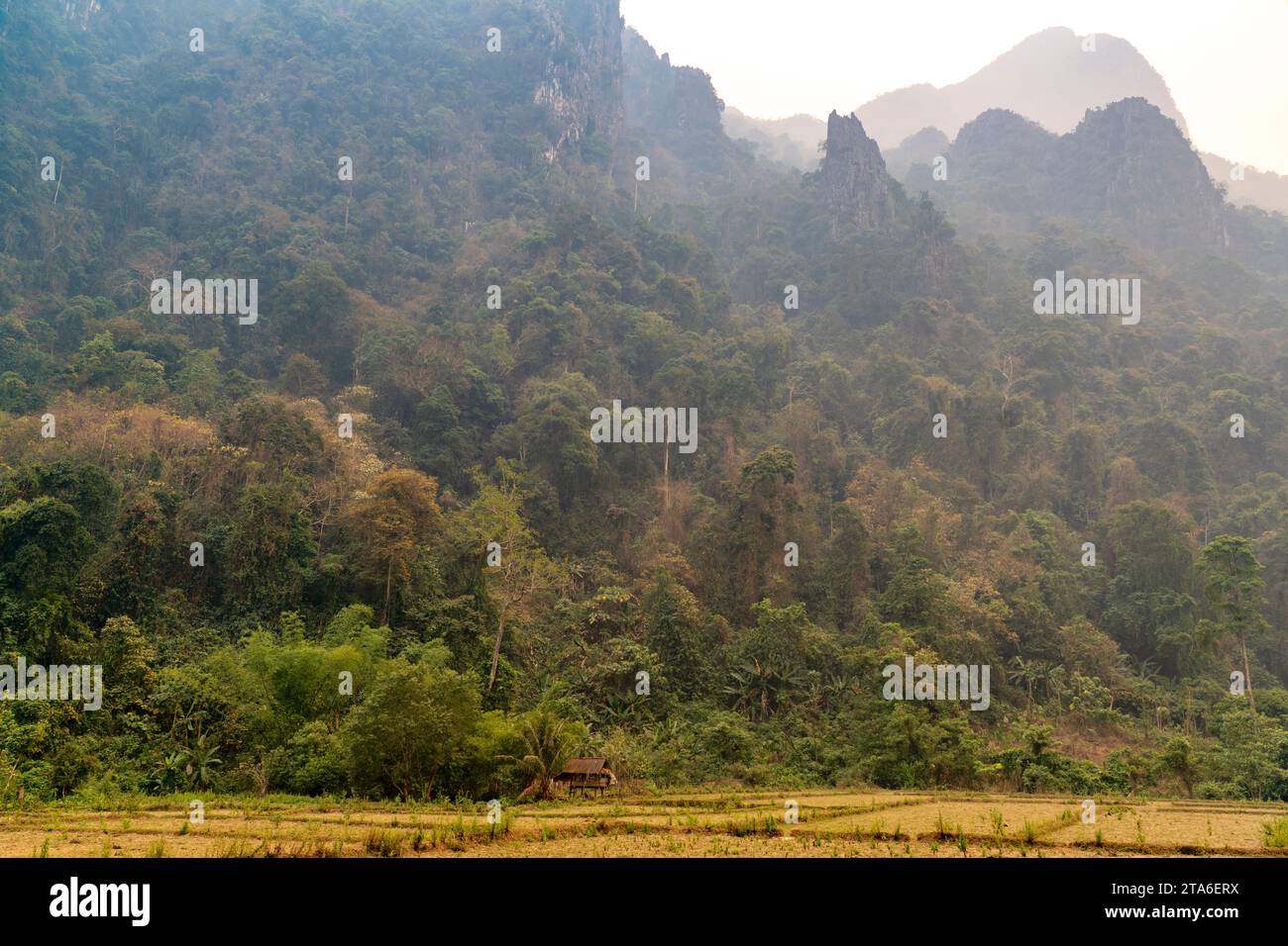 Karstberge in der Landschaft von Vang Vieng, Laos, Asien | limestone ...