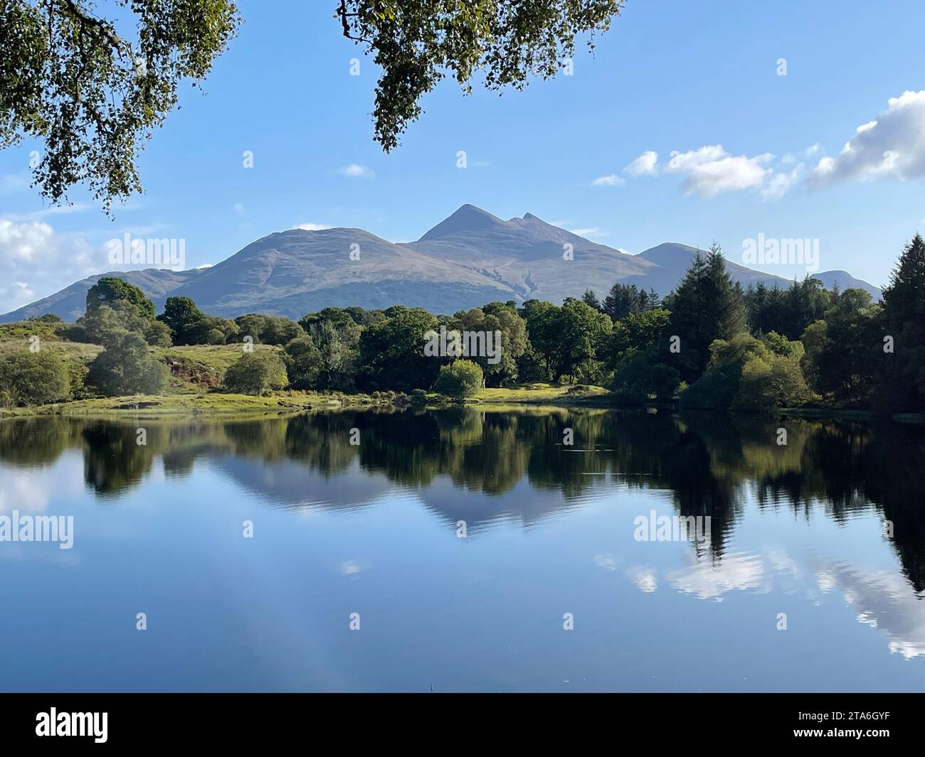 Angus Garden on the Barguillean Estate near Taynuilt, Argyll, Scotland ...