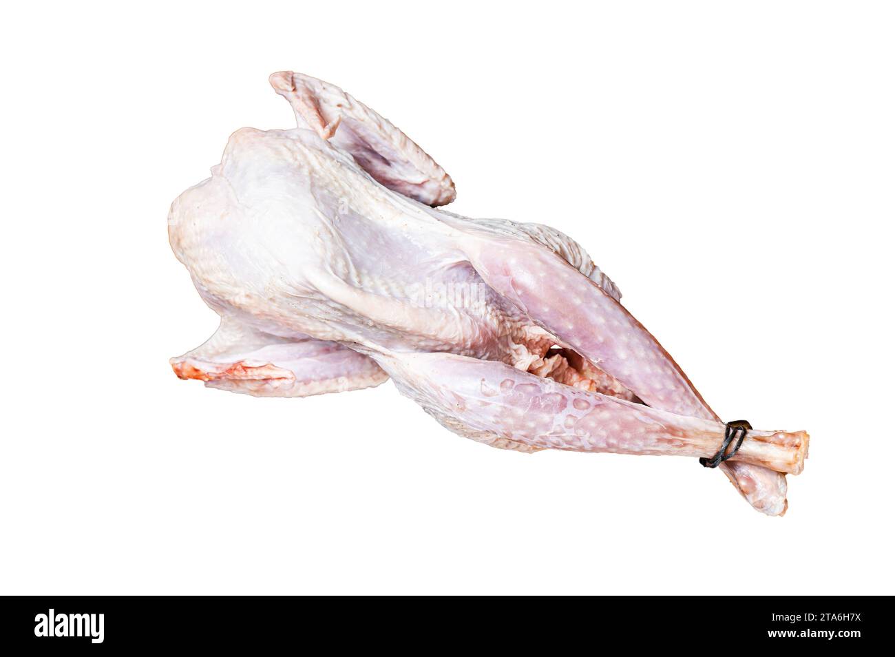 Farm Raw Guineafowl, guinea fowl with herbs ready for cooking. Isolated ...