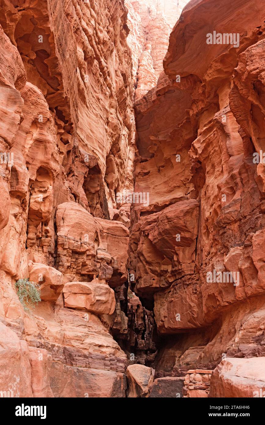 Wadi Rum or Valley of the Moon (UNESCO World Heritage). Khazali canyon ...