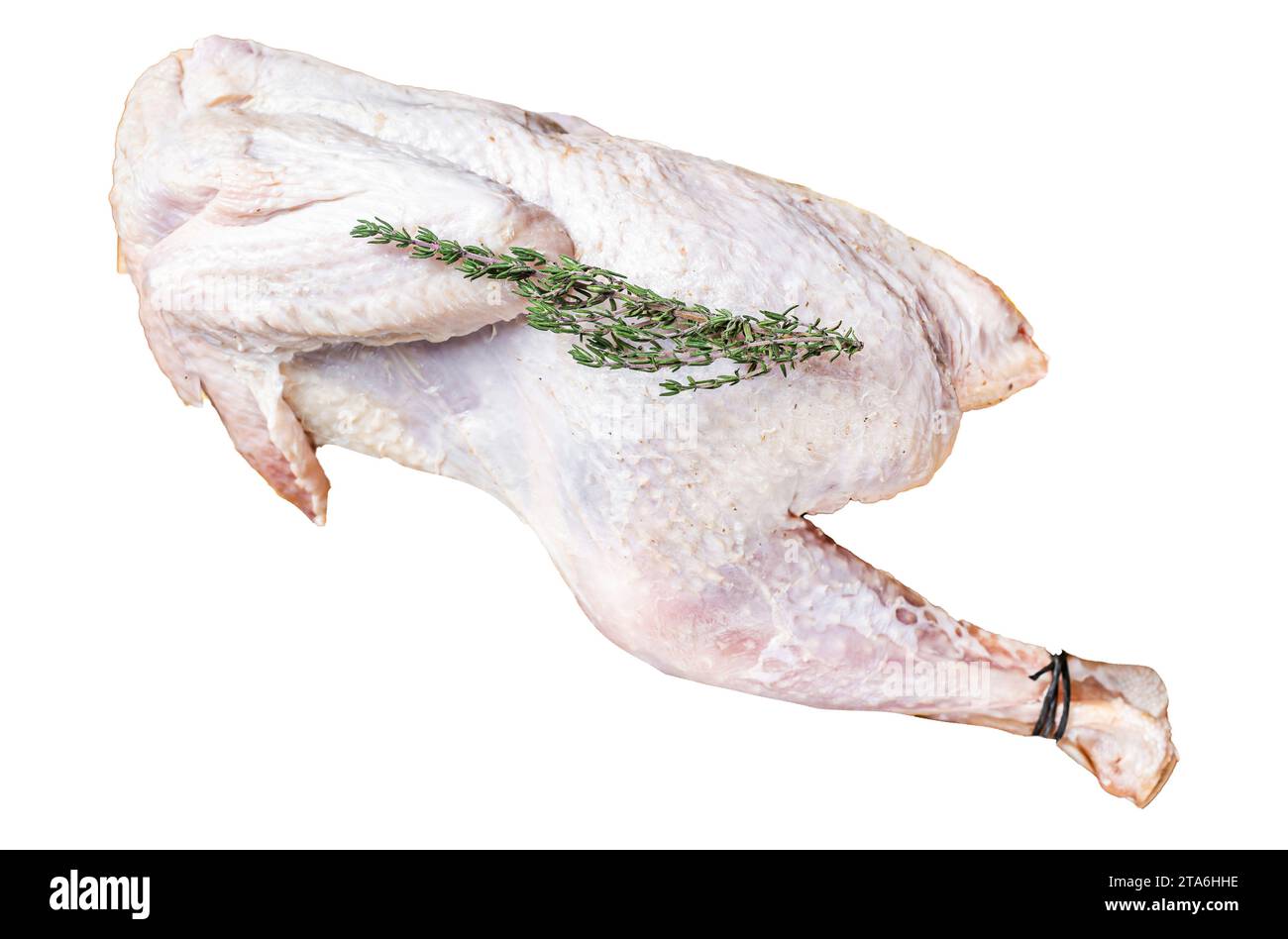 Fresh Raw Guineafowl, guinea fowl with potato, game bird. Isolated ...