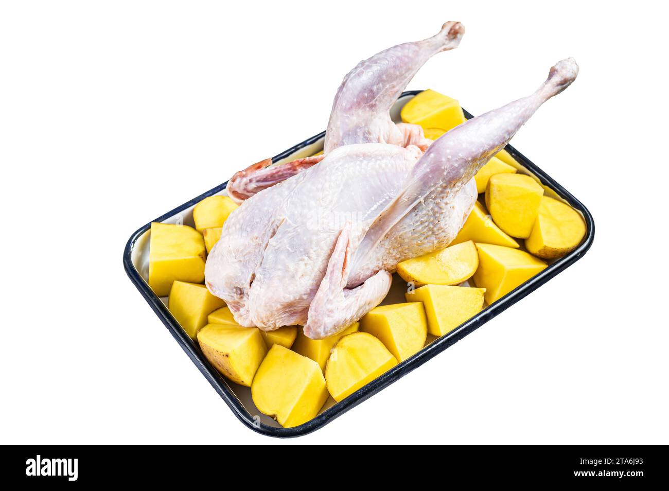Cooking of Raw guinea fowl with potato in baking dish. Isolated, white ...