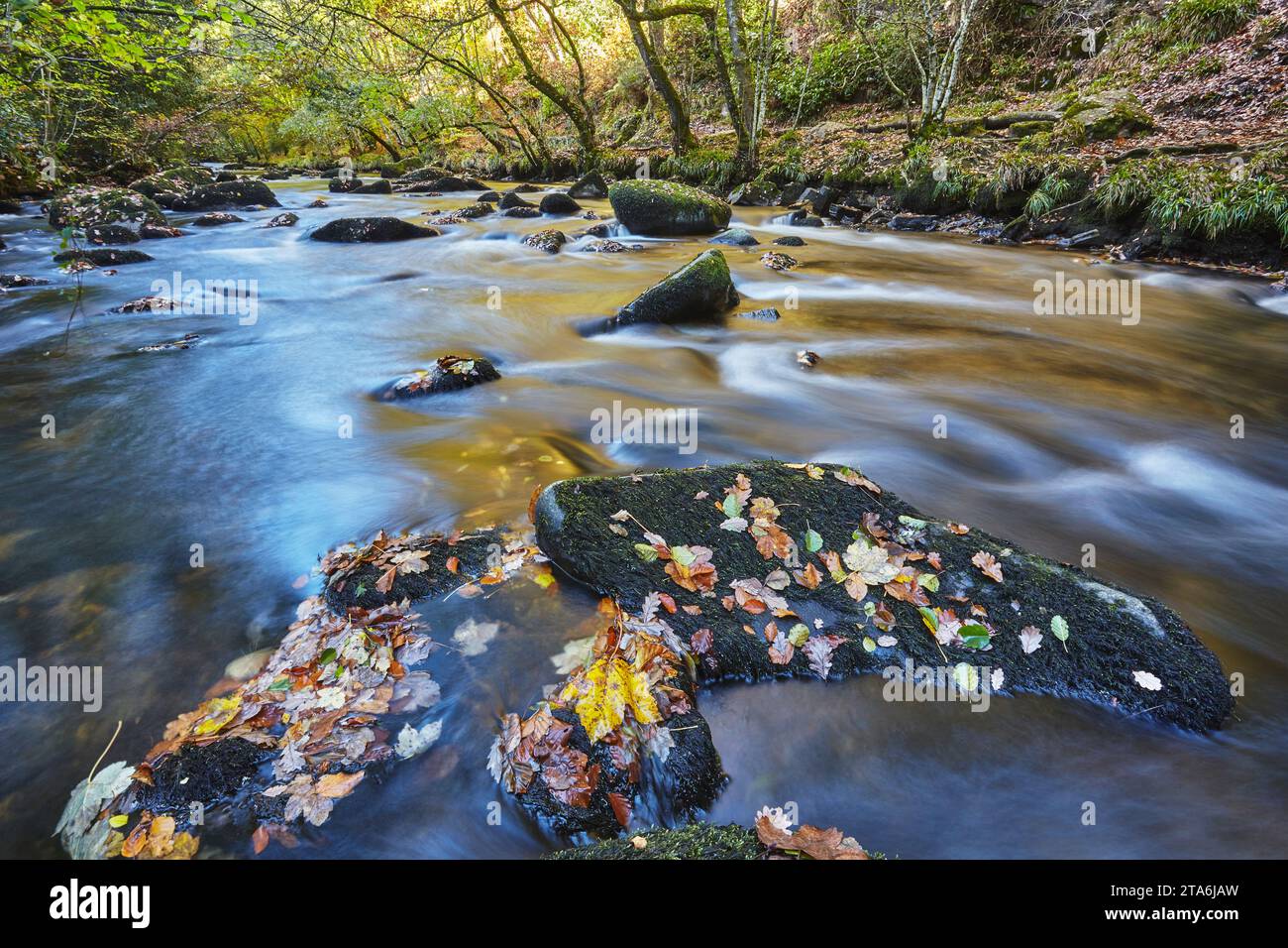 With fallen autumn leaves strewn across rocks, a river flows through ...