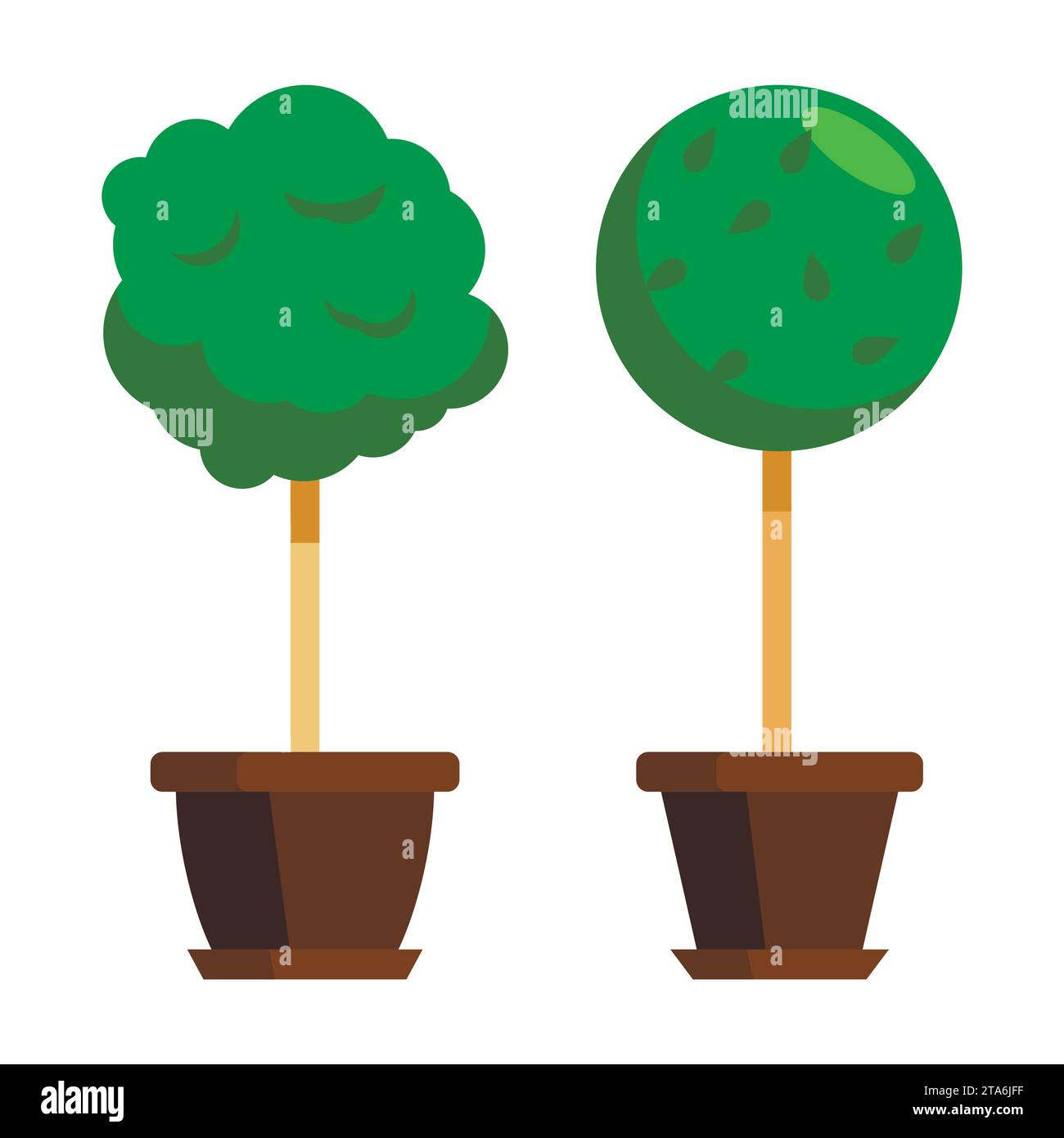 Decorative trees in brown pots with green foliage isolated on a white ...