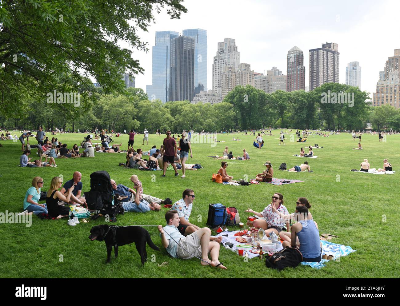 New York, USA - May 26, 2018: People relax on Sheep Meadow in Central ...