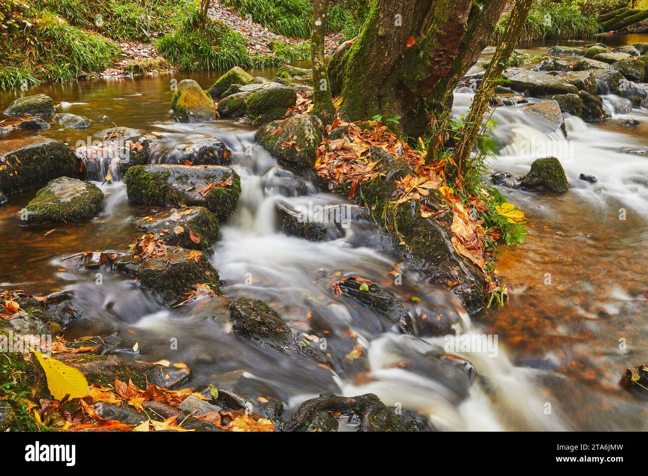 Protected woodland area hi-res stock photography and images - Alamy