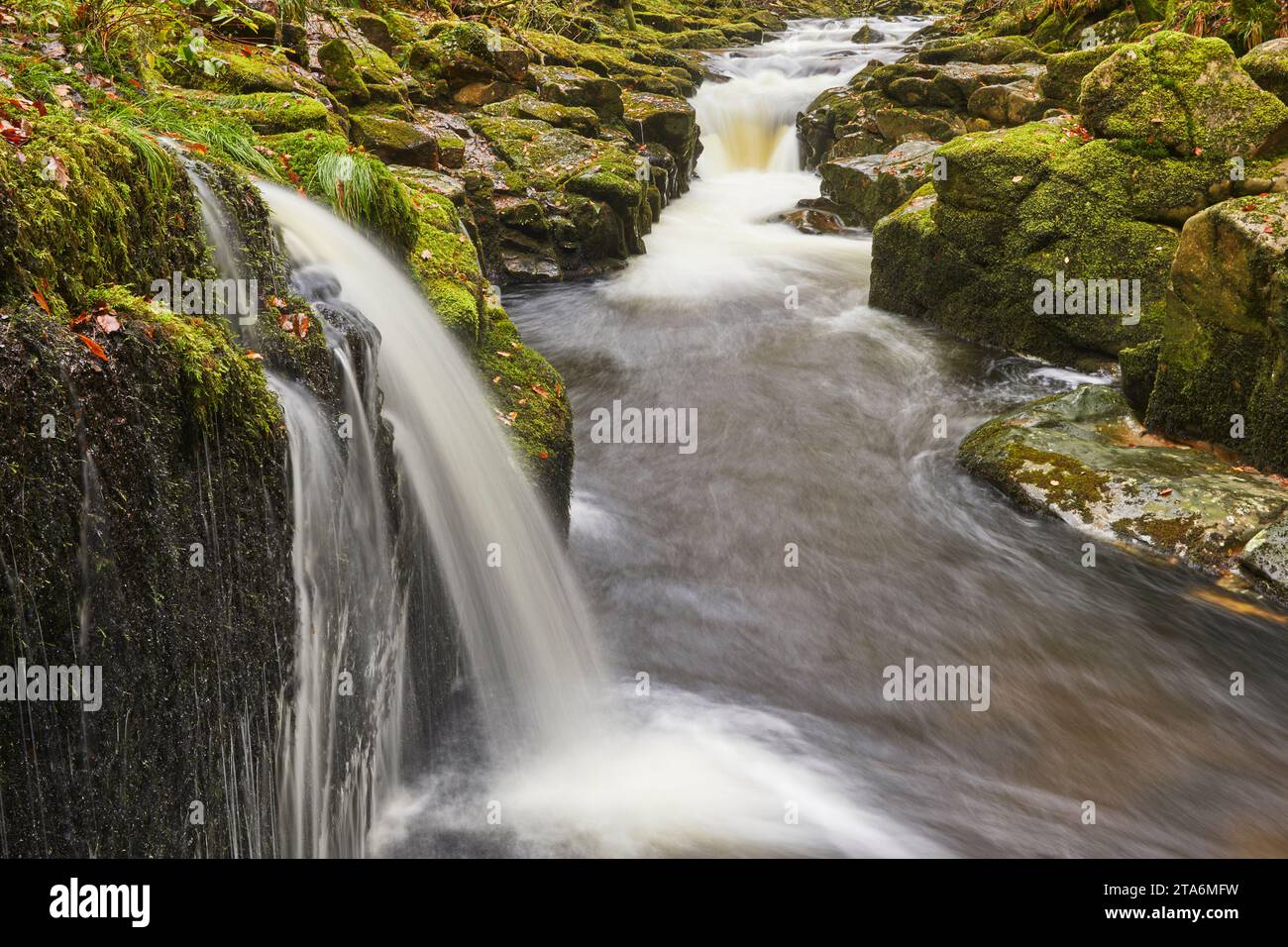 Erme woods hi-res stock photography and images - Alamy