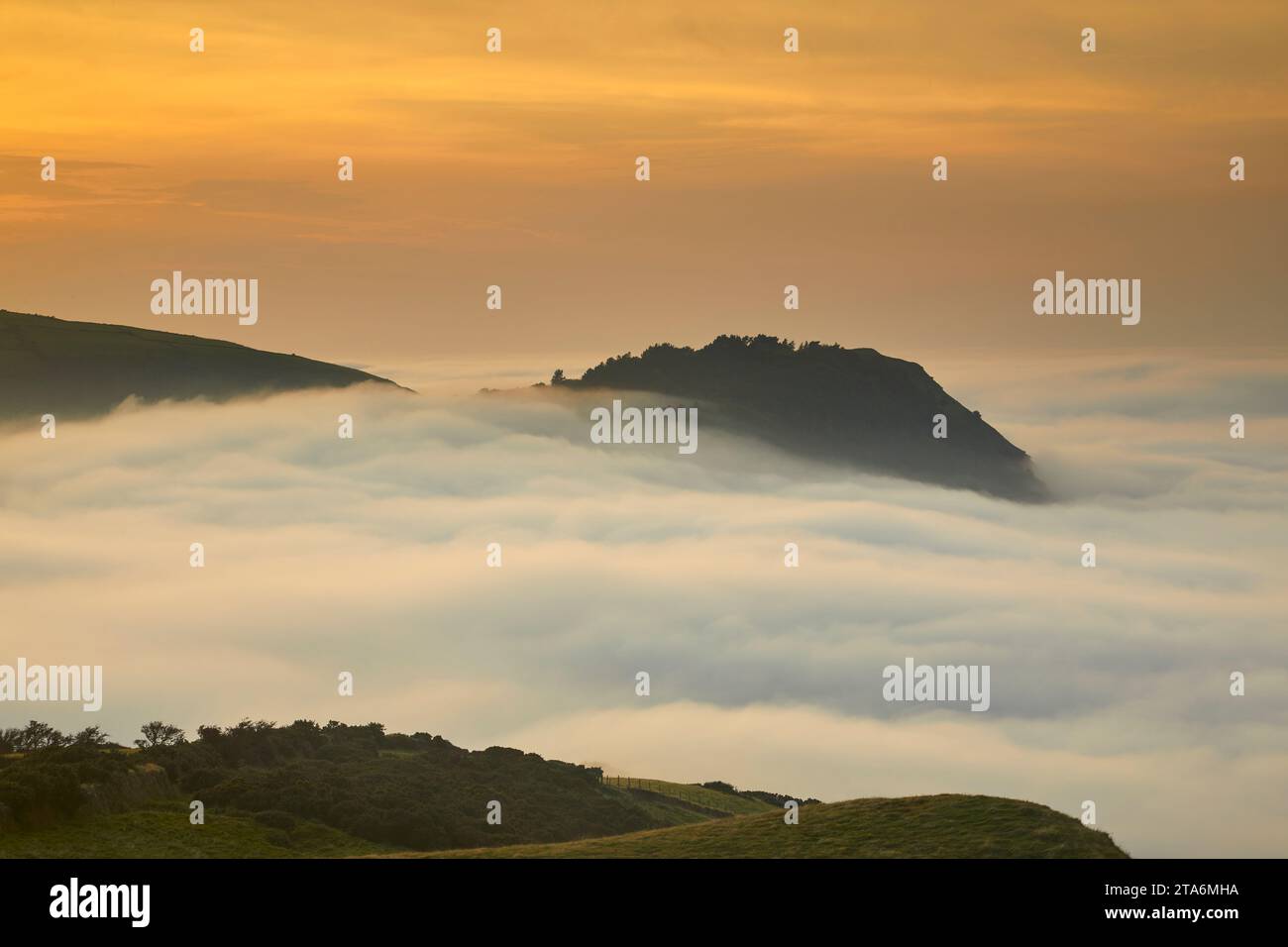 Fog no one landscape landscape nature hi-res stock photography and ...