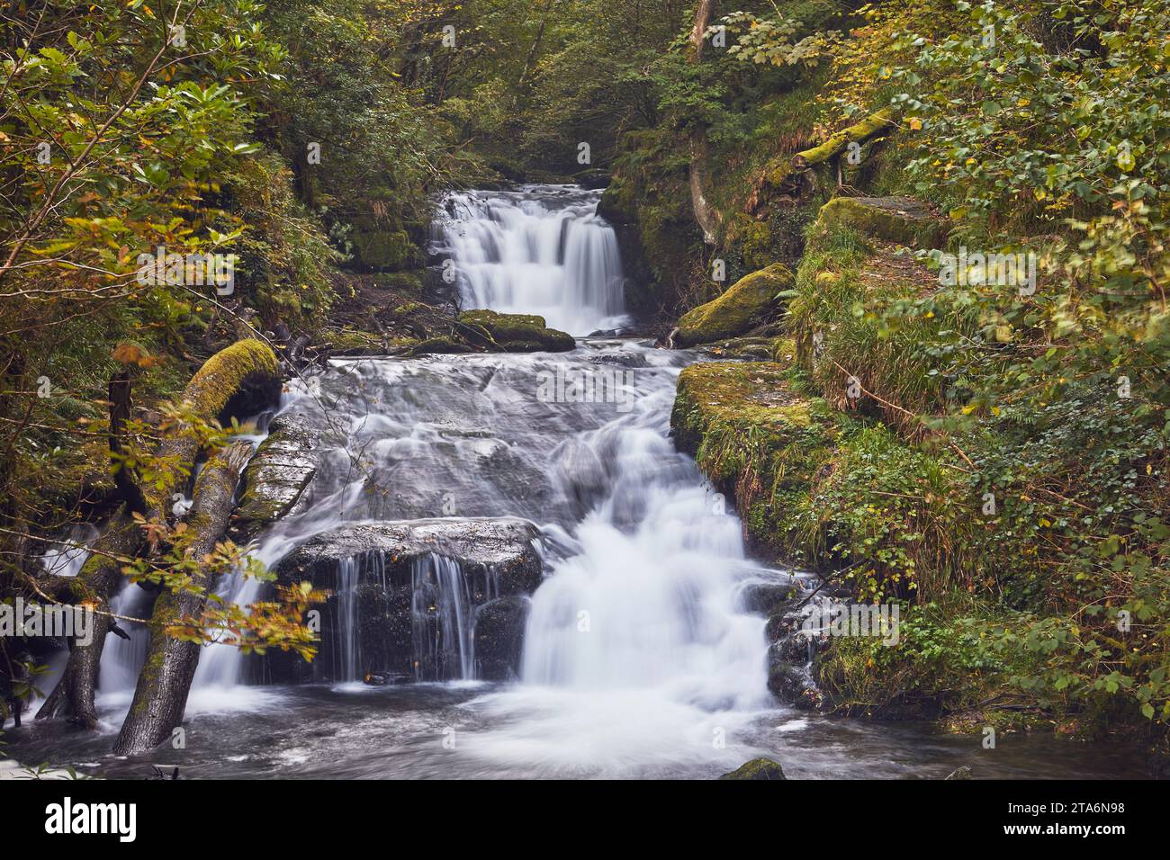 A waterfall on the East Lyn River, at Watersmeet, near Lynmouth, in ...