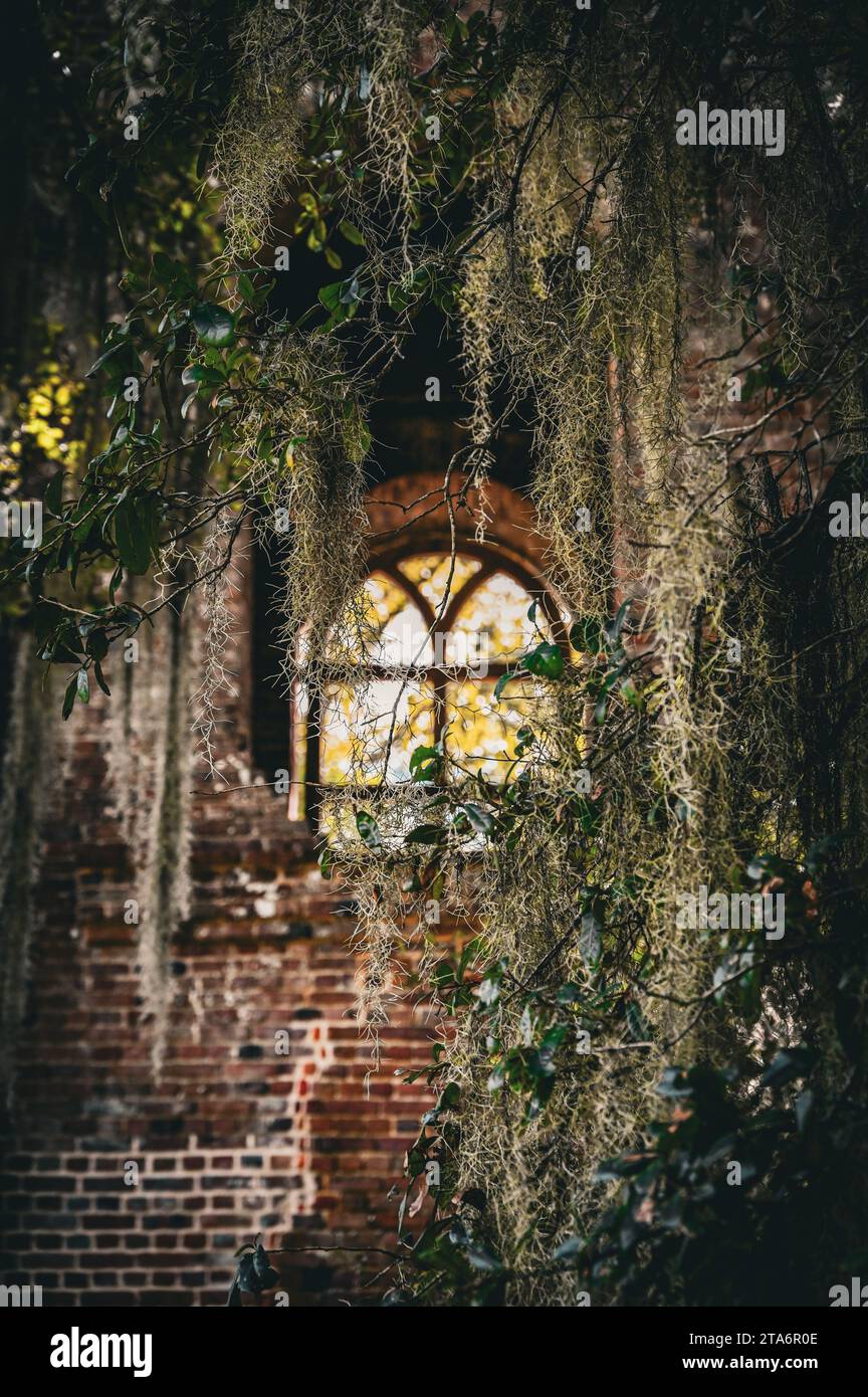 The ruins of an 18th century church bell tower as seen through the ...