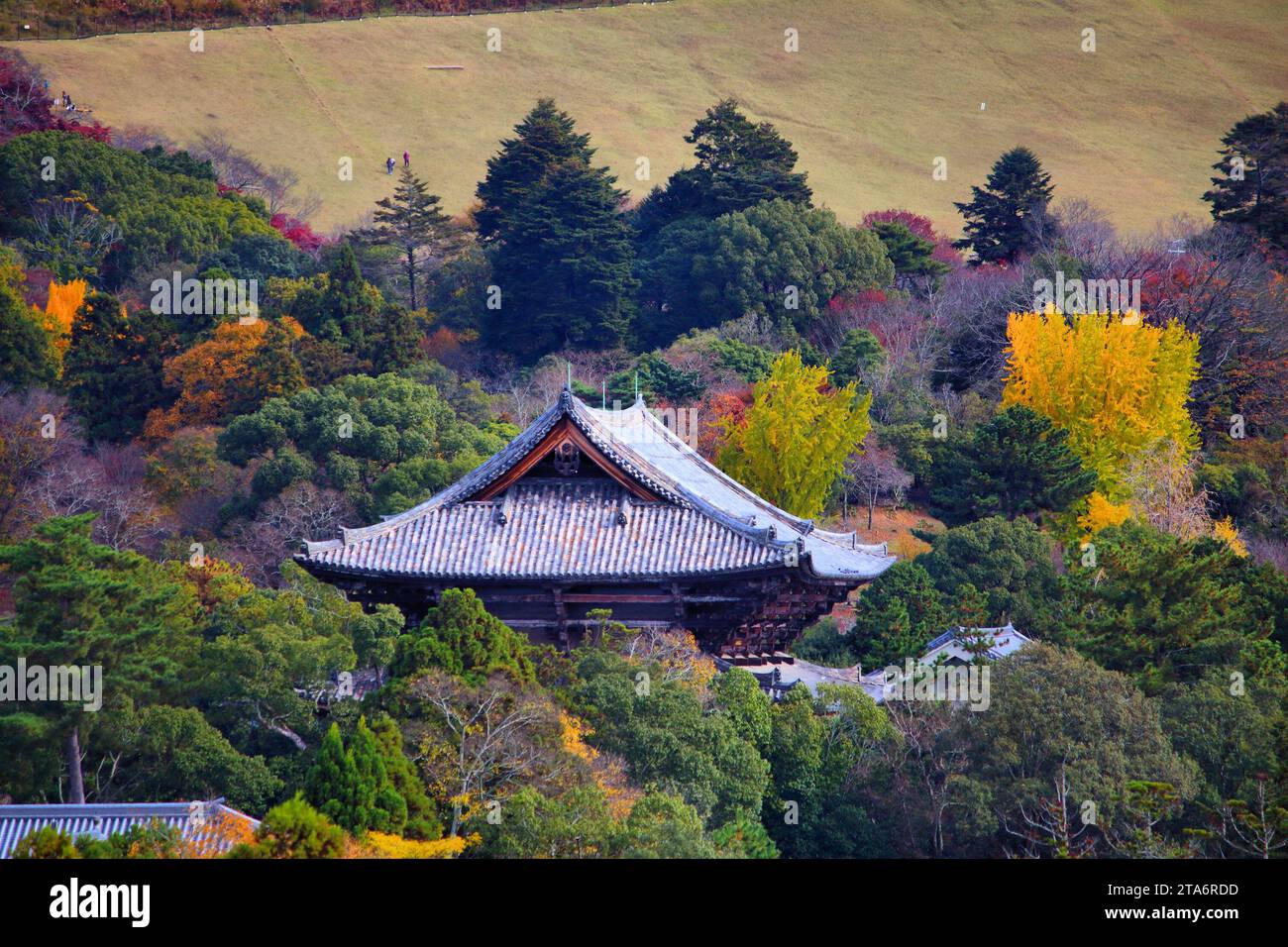 Todaiji temple garden nara japan hi-res stock photography and images ...