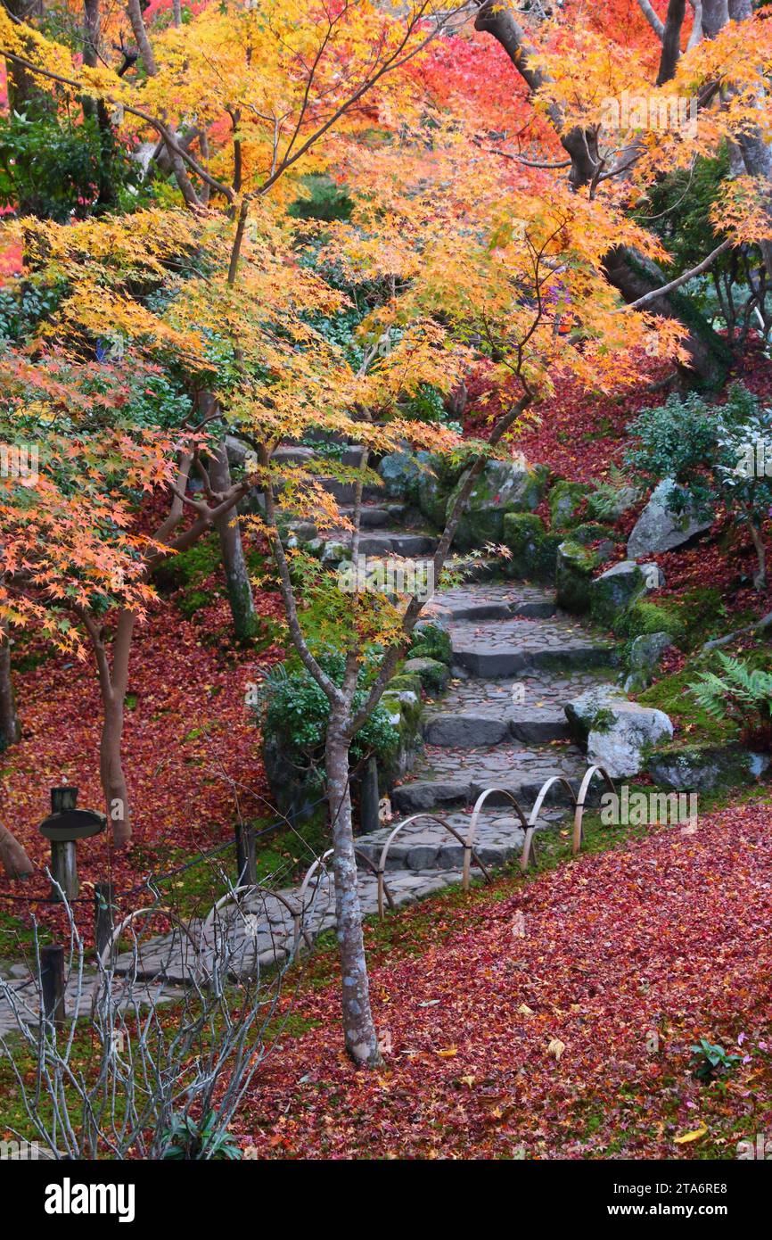 Nara, Japan. Autumn colors in Japanese garden. Yoshikien Garden Stock ...