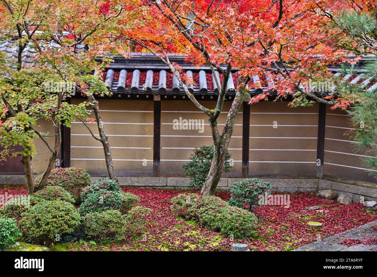 Japanese garden in Kyoto - autumn leaves at Eikando Zenrinji temple Stock Photo - Alamy