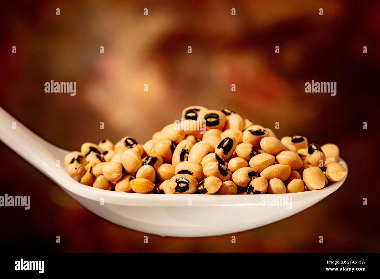 Close up high resolution food still life of commercially important ...