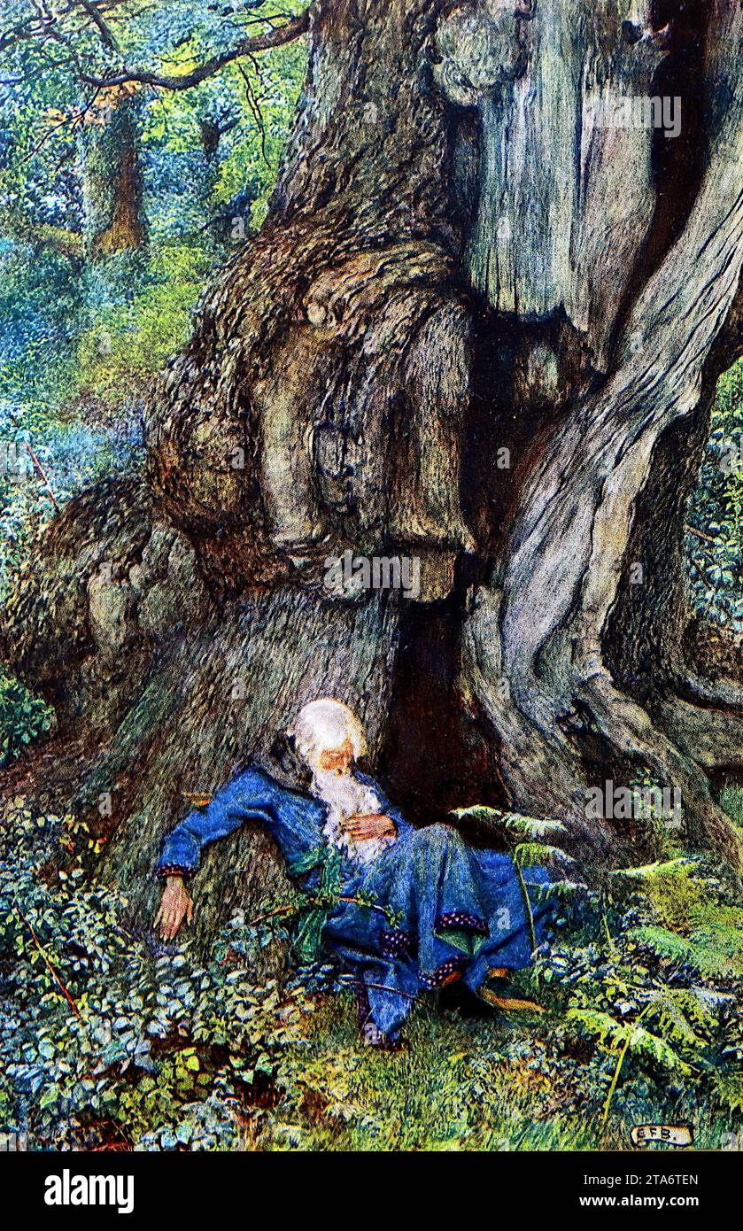 An elderly man with a white beard, at the foot of a huge tree. Colour ...