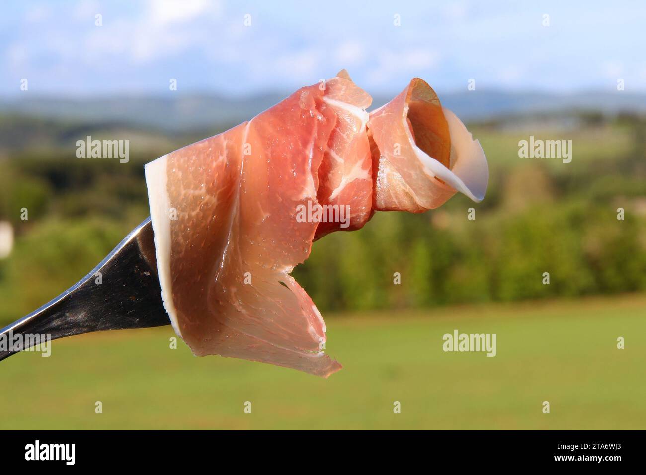 Italian cuisine - picnic in Tuscany. Prosciutto crudo - raw smoked ham ...