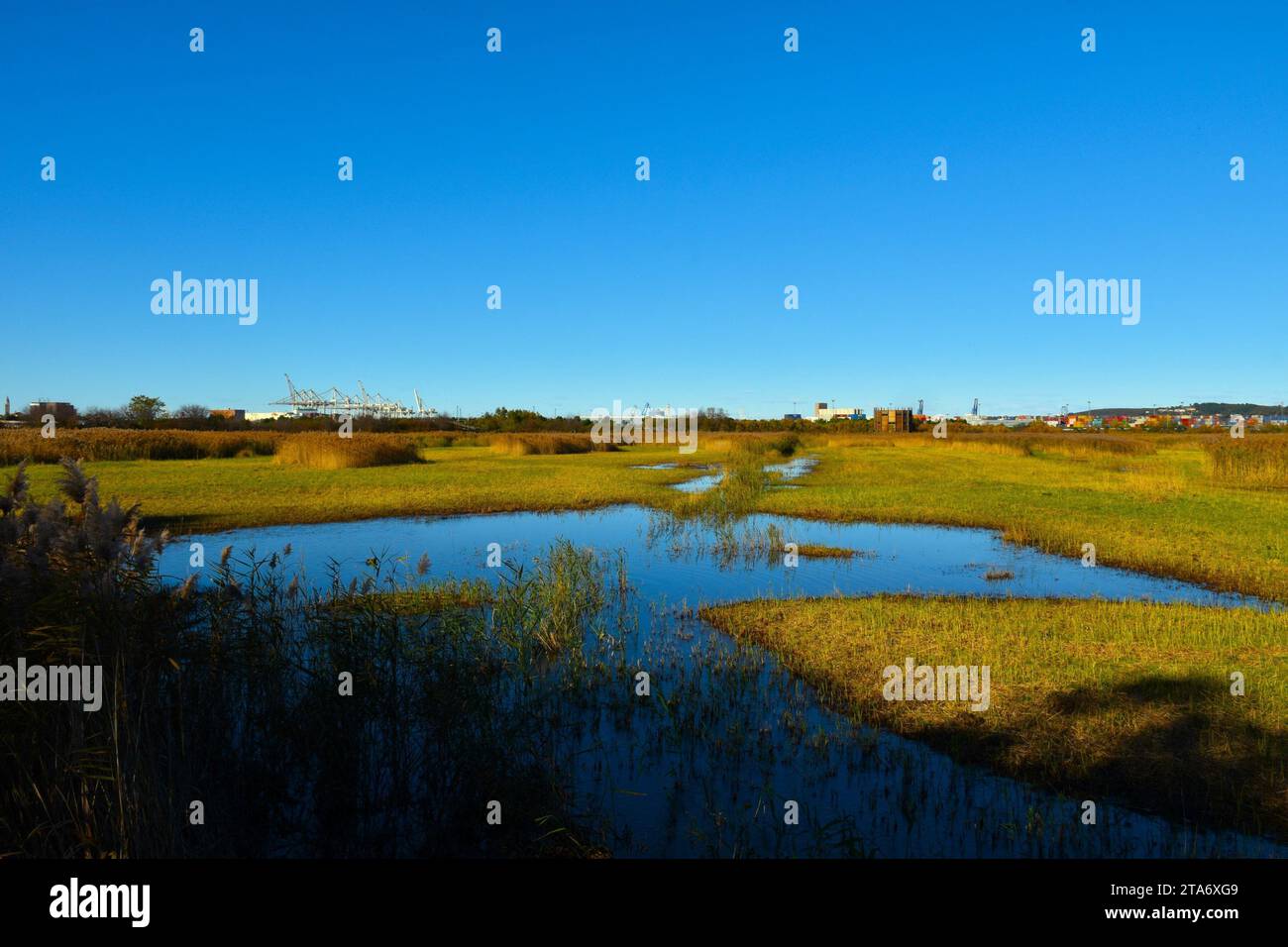 View of beautiful marshland at Skocjanski Zatok and cranes in the port ...