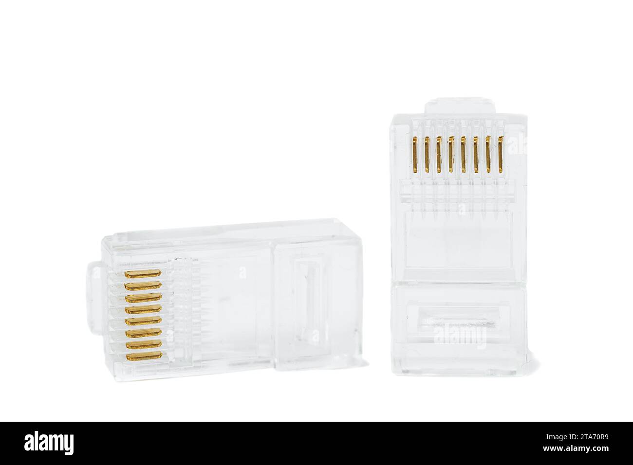 Network Connector close-up isolated on white background Stock Photo - Alamy