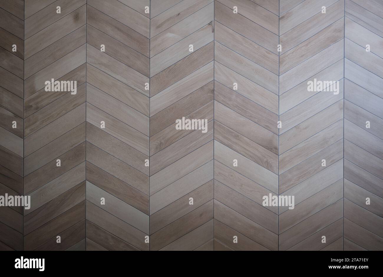 Wooden floor with parquet in shape of tree closeup background Stock ...