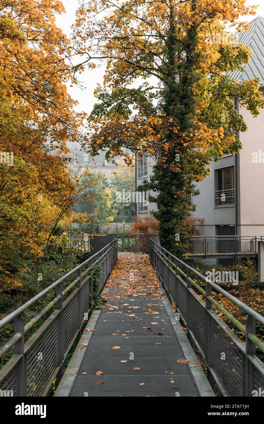 Pedestrian bridge leads to building through park flanked by trees Stock ...