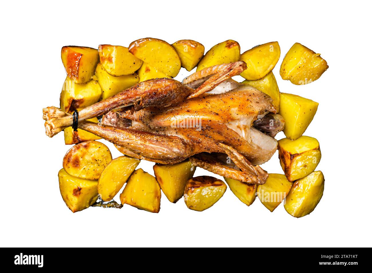 Roasted Guineafowl, guinea fowl with potato, in baking dish. Isolated ...