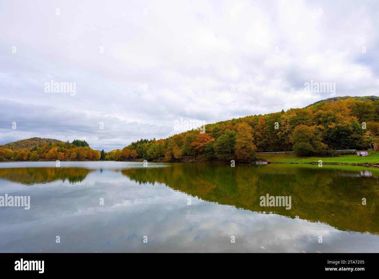 fall foliage forest reflecting in the still surface of lake water, Beautiful Autumn foliage ...