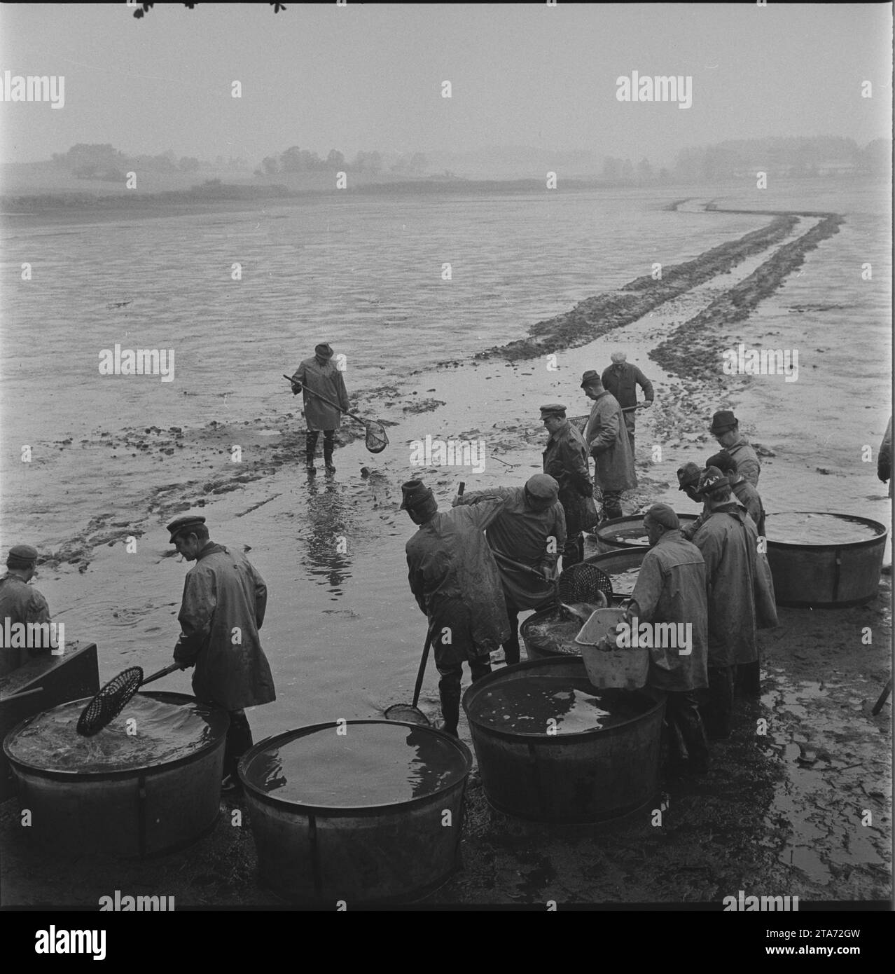 October 1972 Black and White Stock Photos & Images - Alamy