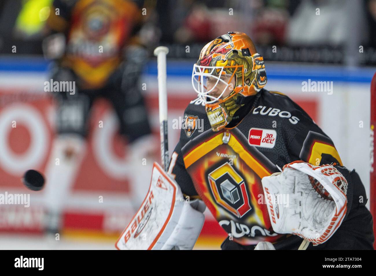 28.11.2023, Lanxess-Arena, Koeln, GER, DEL, Koelner Haie vs Grizzlys ...