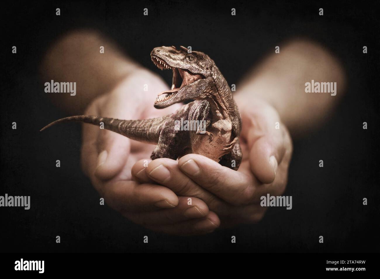 Close-up of a person's hands holding a miniature roaring tyrannosaurus ...