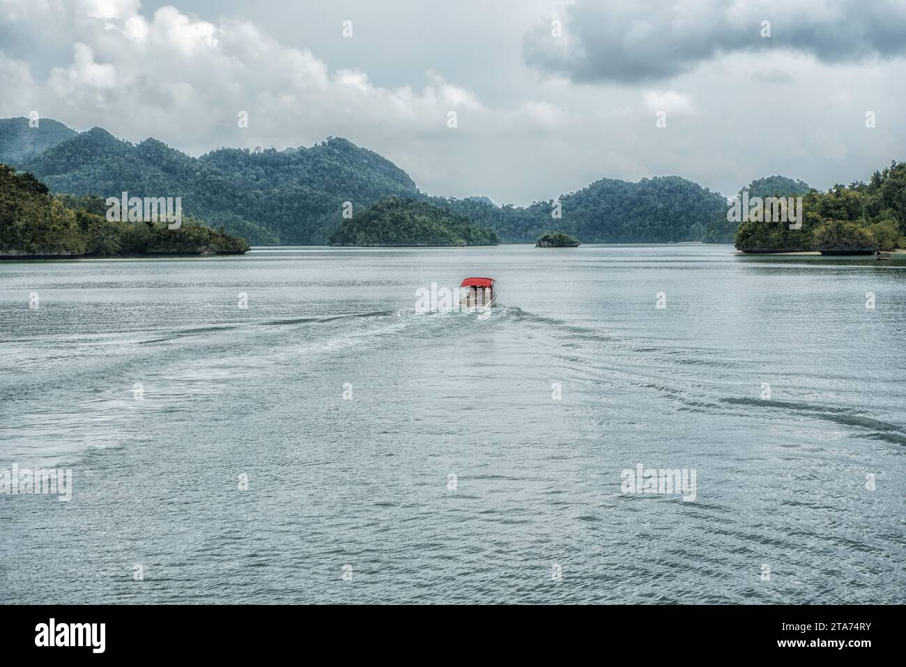 Rear view of a speedboat sailing between islands, Wayag, Raja Ampat ...