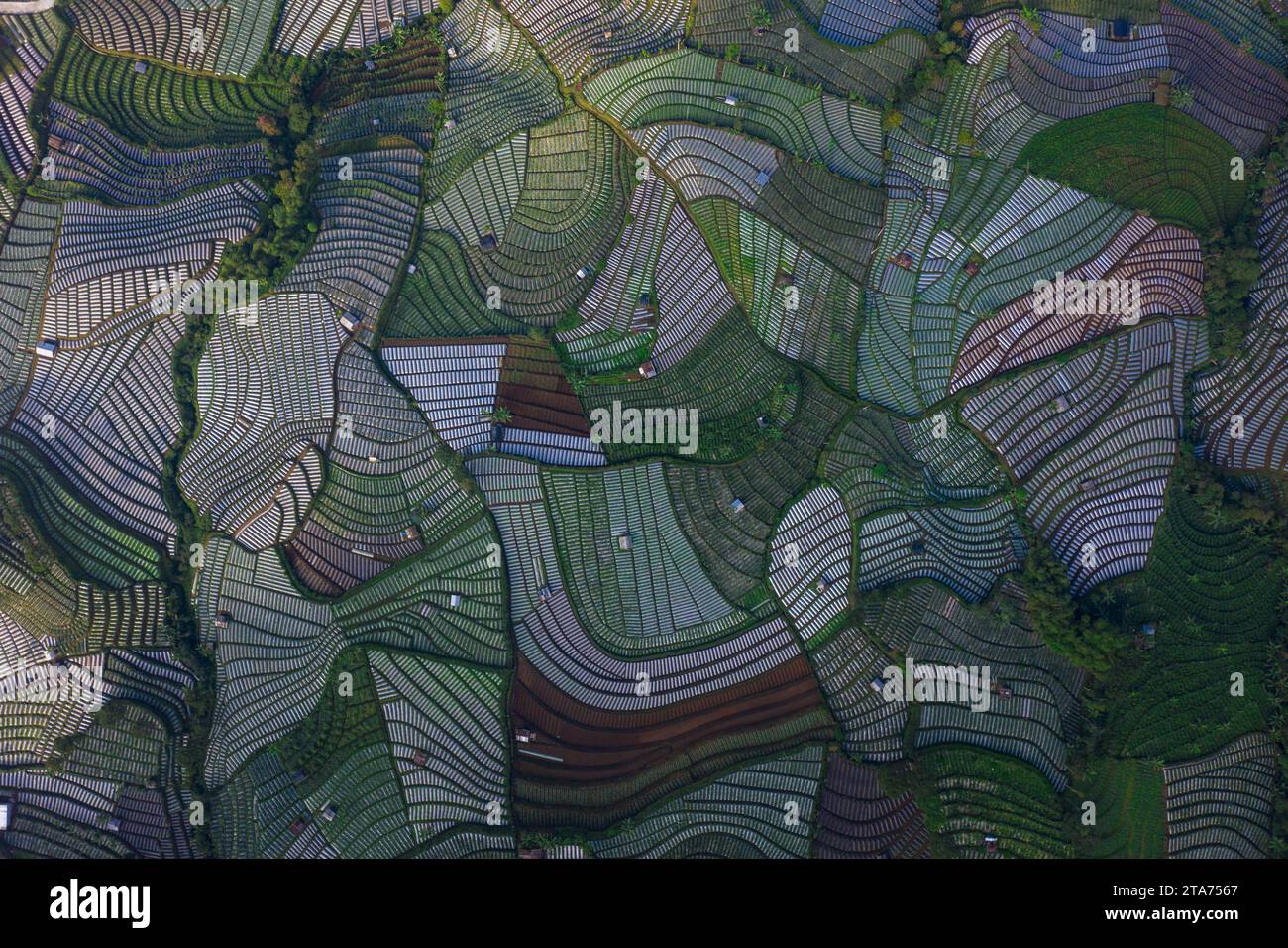 Aerial view of flooded rice terraces in rural landscape, Indonesia ...