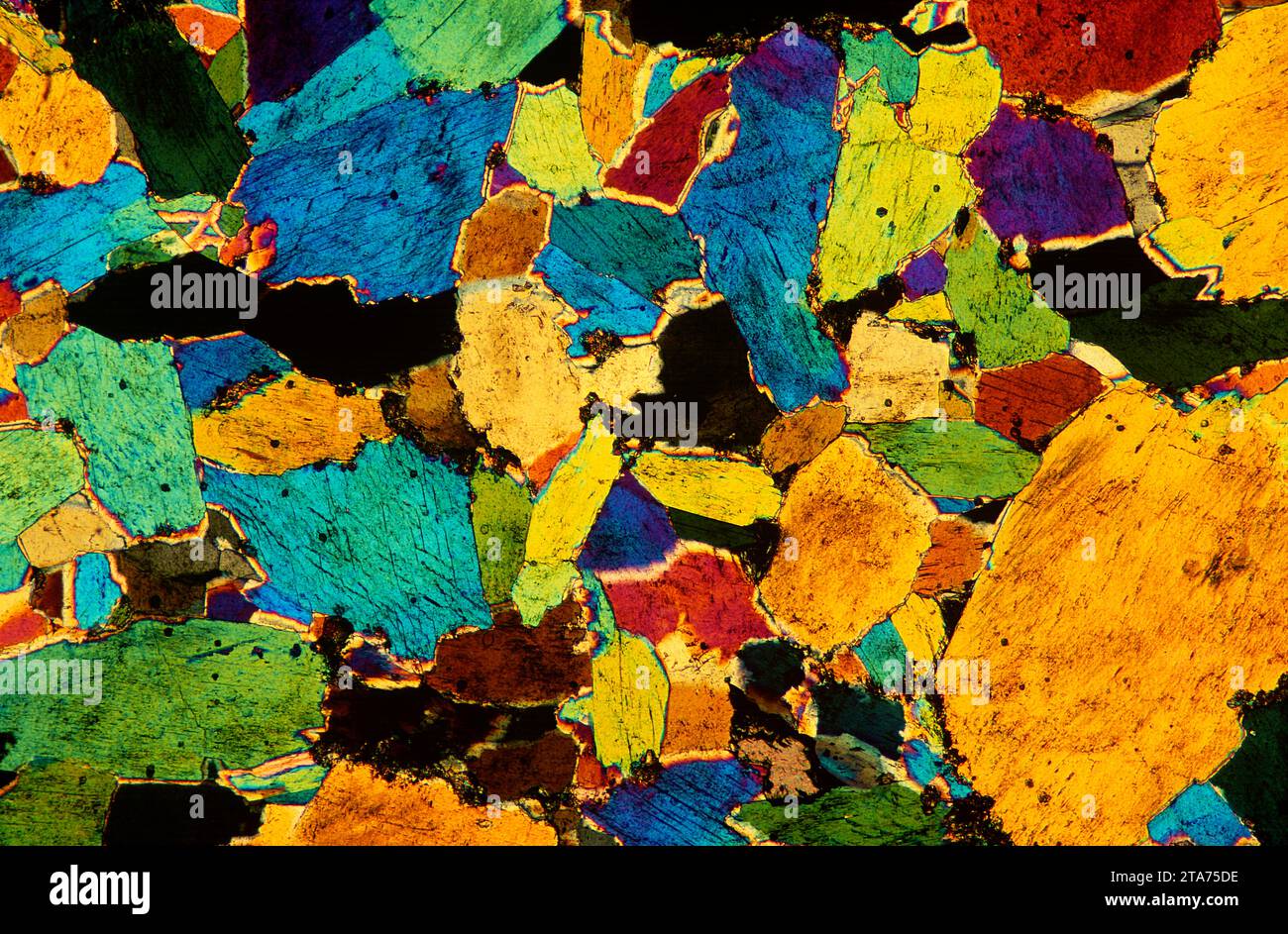 Amphibolite hornblende photomicrograph see with polarized ligth ...