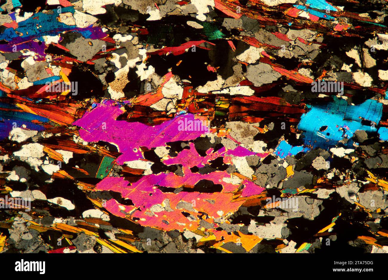 Polarized light microscope hi-res stock photography and images - Alamy