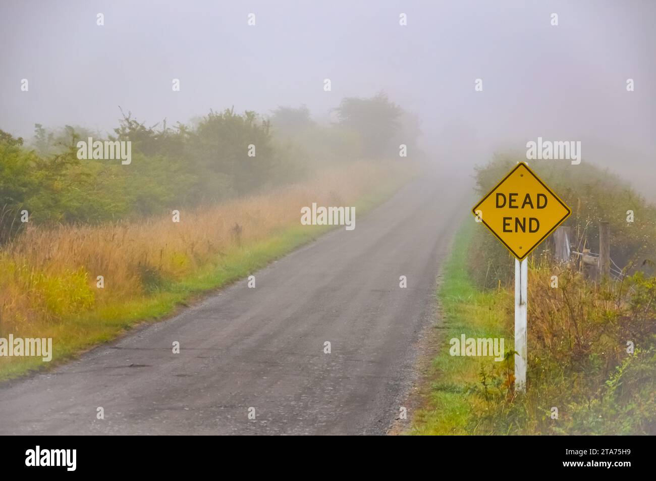 Dead End roadside sign in fog, Orca Island, San Juan Island, Washington ...