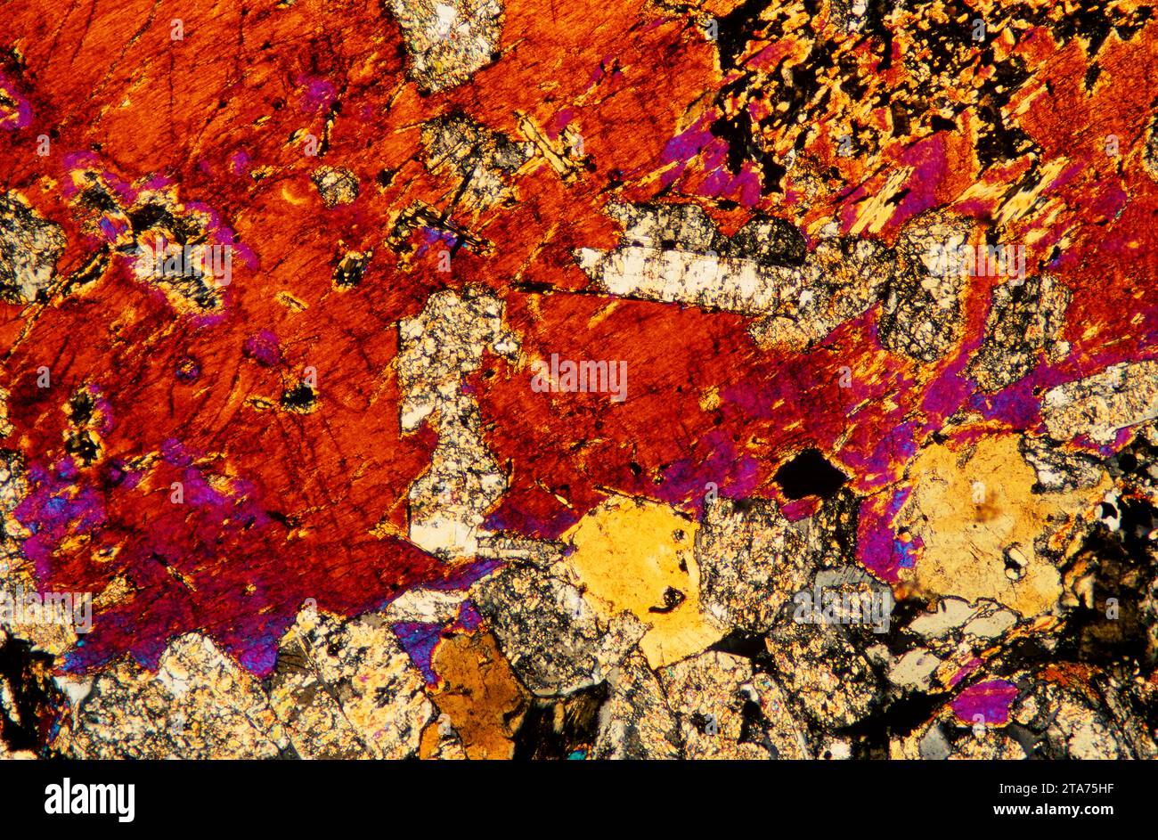 Diorite is an igneous intrusive rock. Polarised light, optical ...