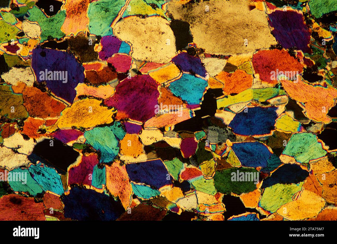 Amphibolite is a metamorphic rock rich in amphibole (hornblende ...