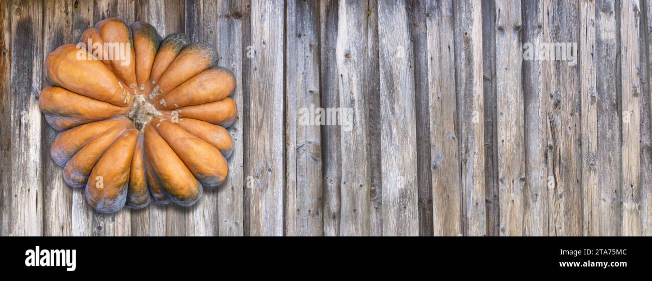 Pumpkin barn hi-res stock photography and images - Alamy