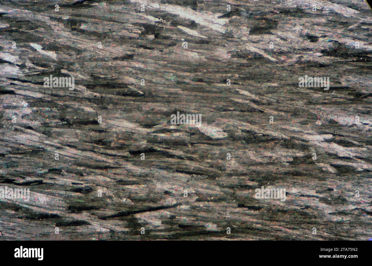 Aragonite is a calcium carbonate mineral. Photomicrograph, polarized ...
