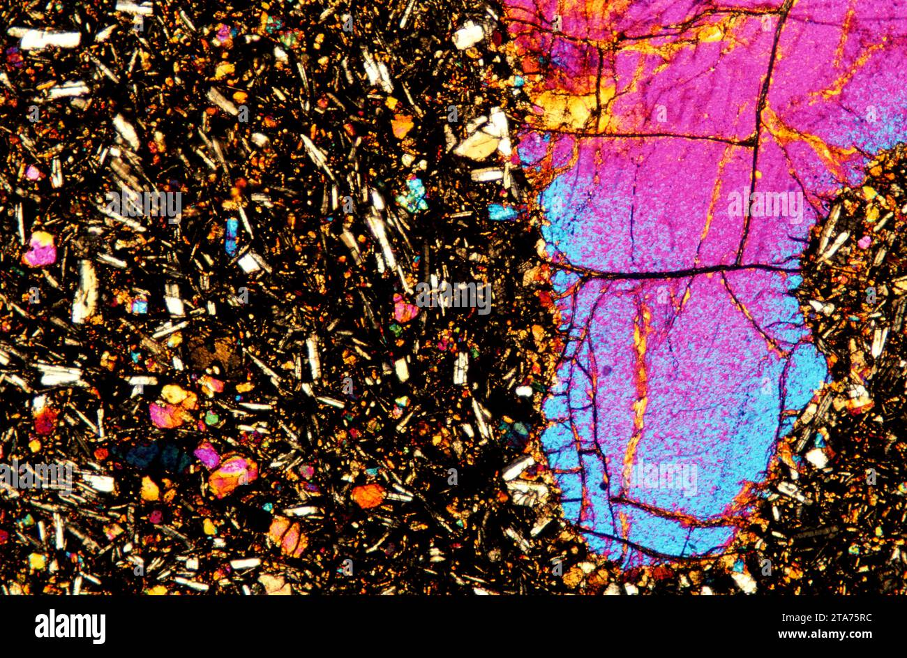 Light microscope large hi-res stock photography and images - Alamy