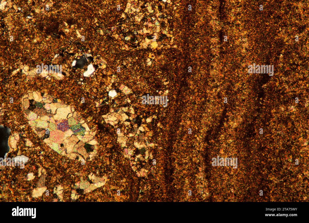 Limestone petrographic microscope hi-res stock photography and images ...