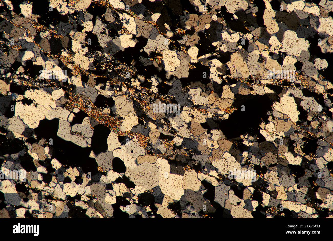 Quartzite is a metamorphic rock mostly made of quartz. Photomicrograph ...