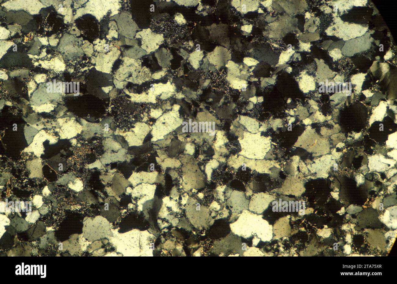 Quartzite is a metamorphic rock mostly made of quartz. Photomicrograph ...