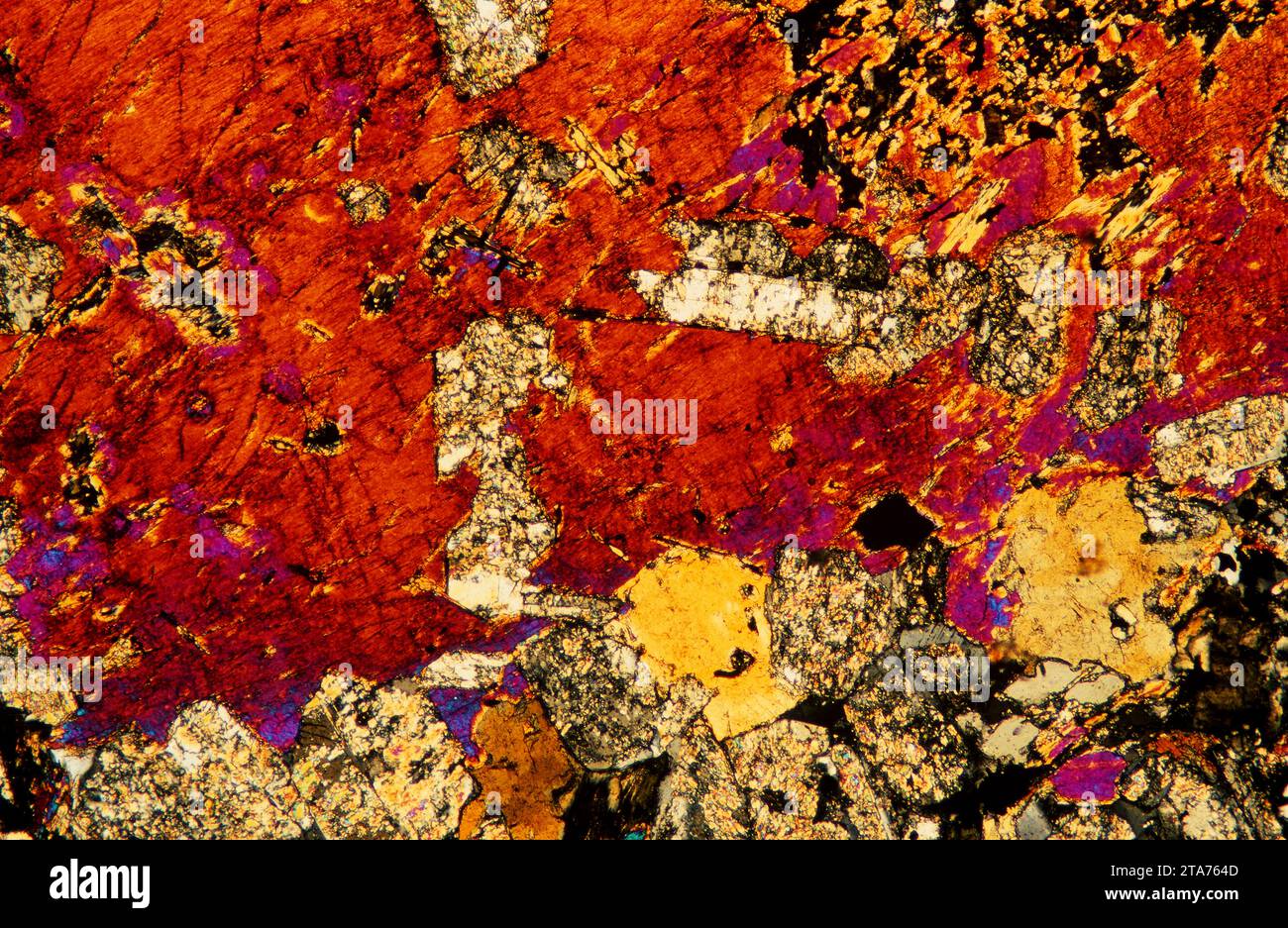 Diorite is an igneous intrusive rock intermediate between gabbro and ...