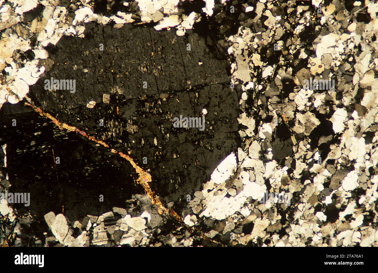 Gneiss is a metamorphic rock with banded texture. Photomicrograph, thin ...