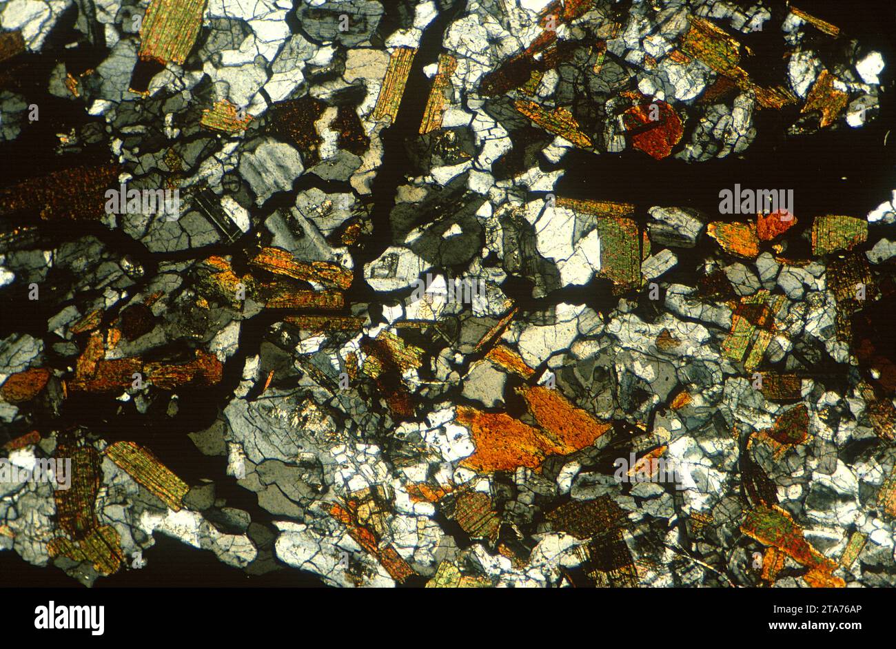 Holocrydtalline hi-res stock photography and images - Alamy